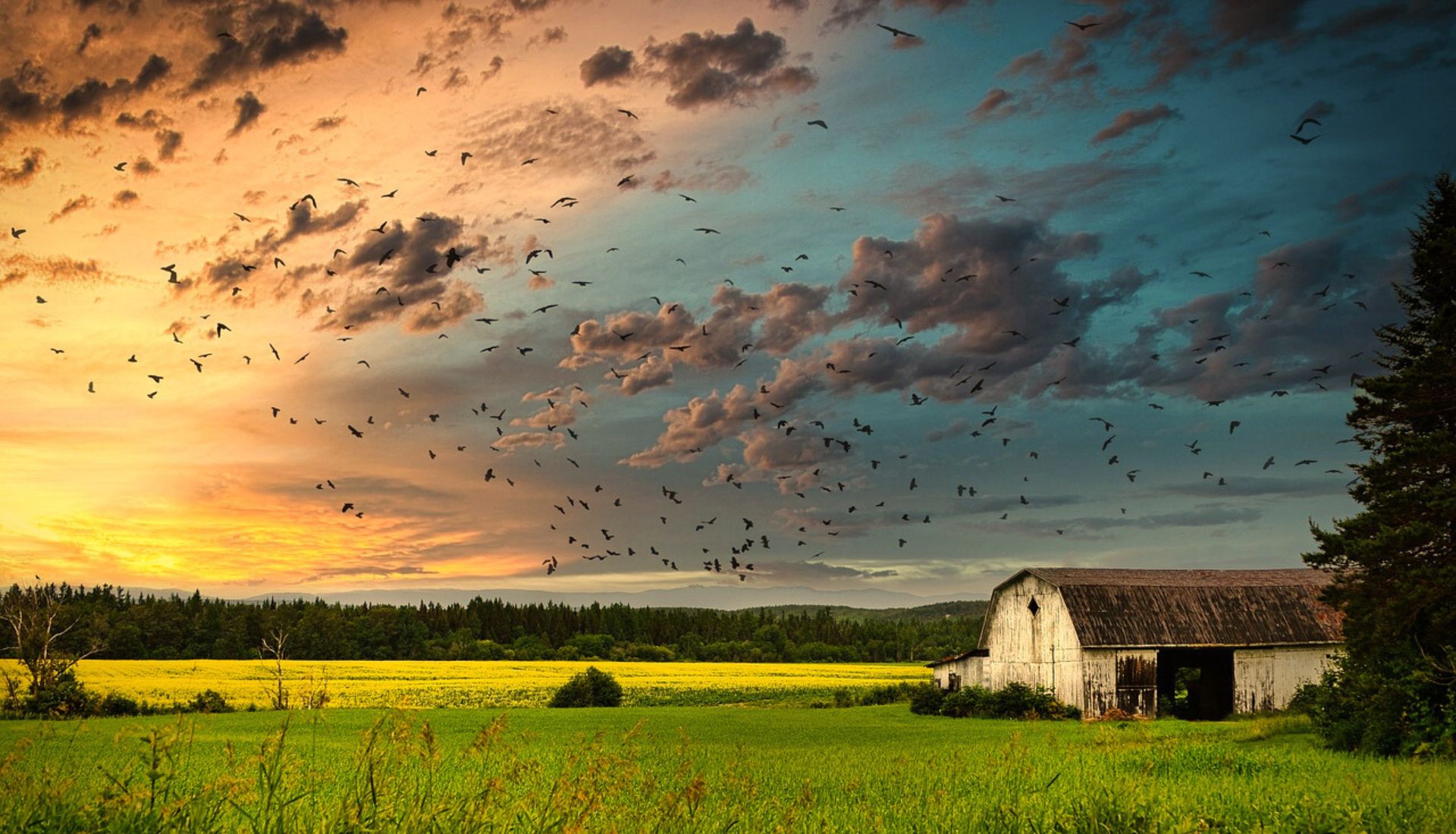 157 - How have you been? - Present Perfect 2 - Inglés desde cero